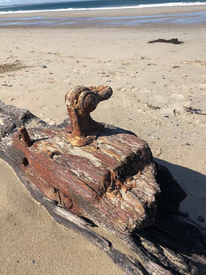 The Amazon Shipwreck at Inverloch in 1863 – Inverloch History